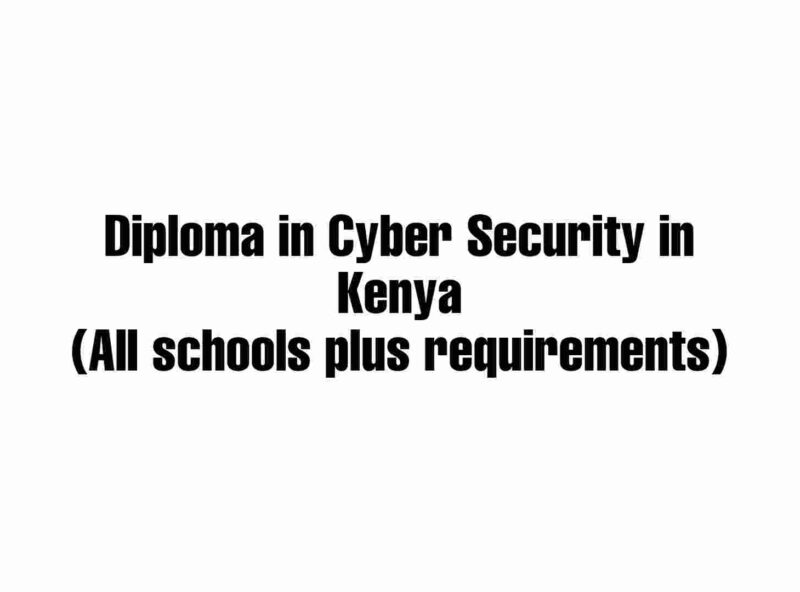 Requirements for Diploma in software engineering & colleges